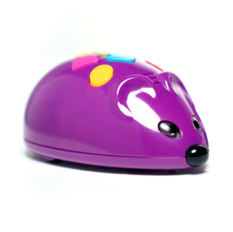 Activities - SaskCode